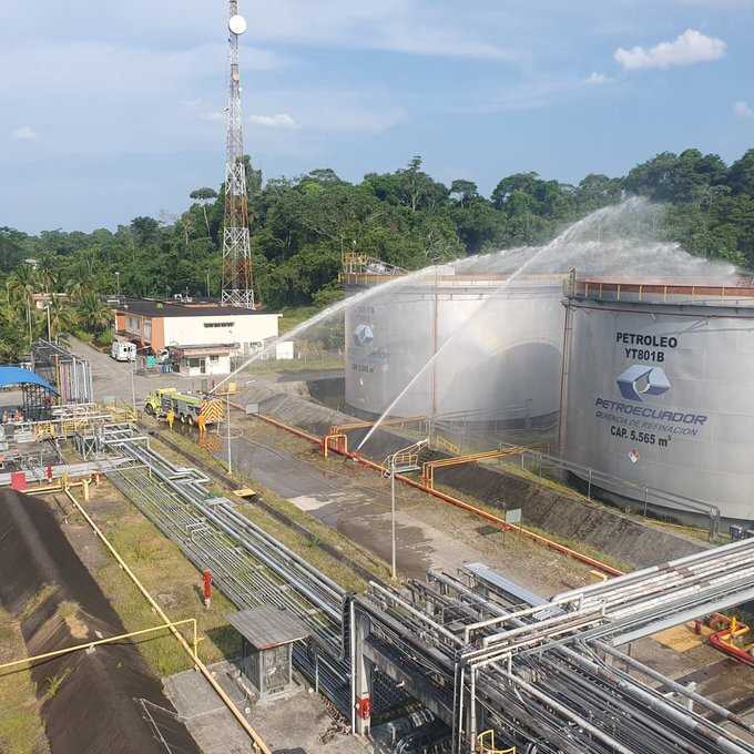 Auditora internacional realizará un examen de los estados financieros ...