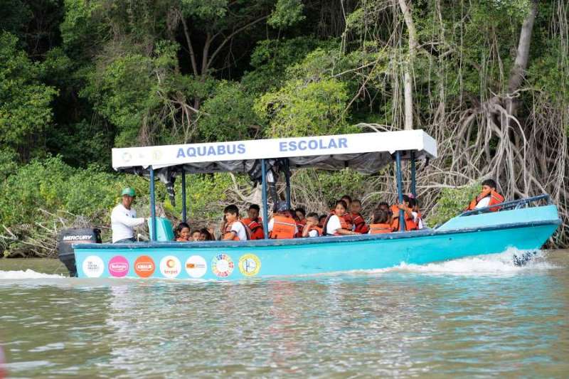 El proyecto social ‘Aquabus Escolar’ de la comunidad Punta de Piedra ...